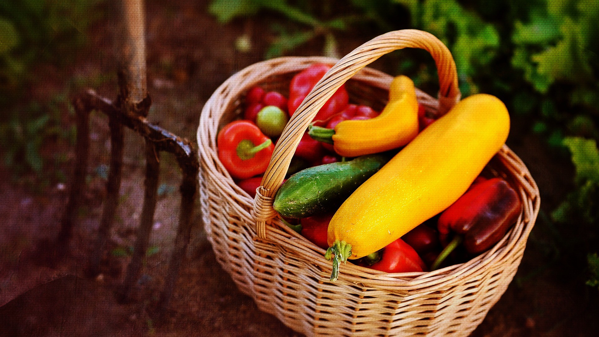 Fall Recipes | Chickasaw.tv