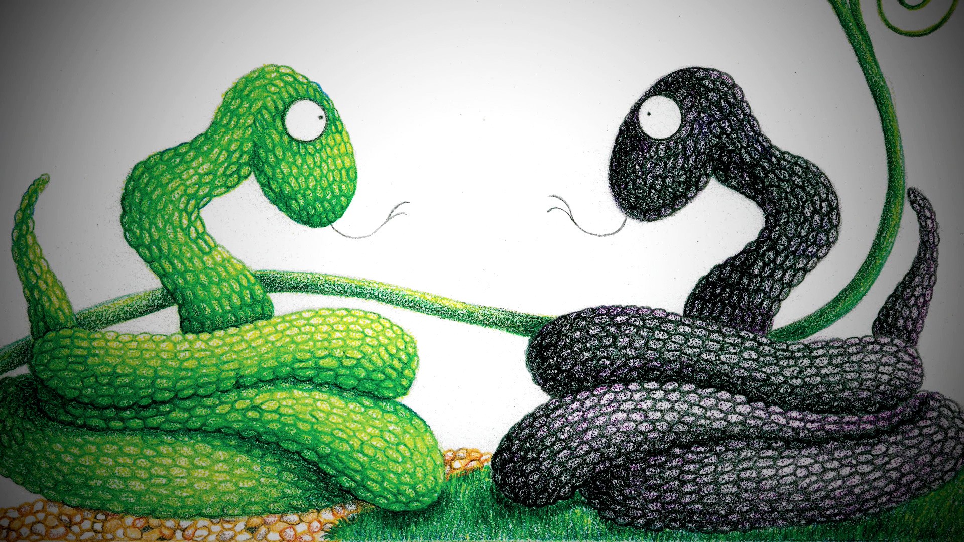 Long Ago Rabbit Tricked Two Snakes | Chickasaw.tv