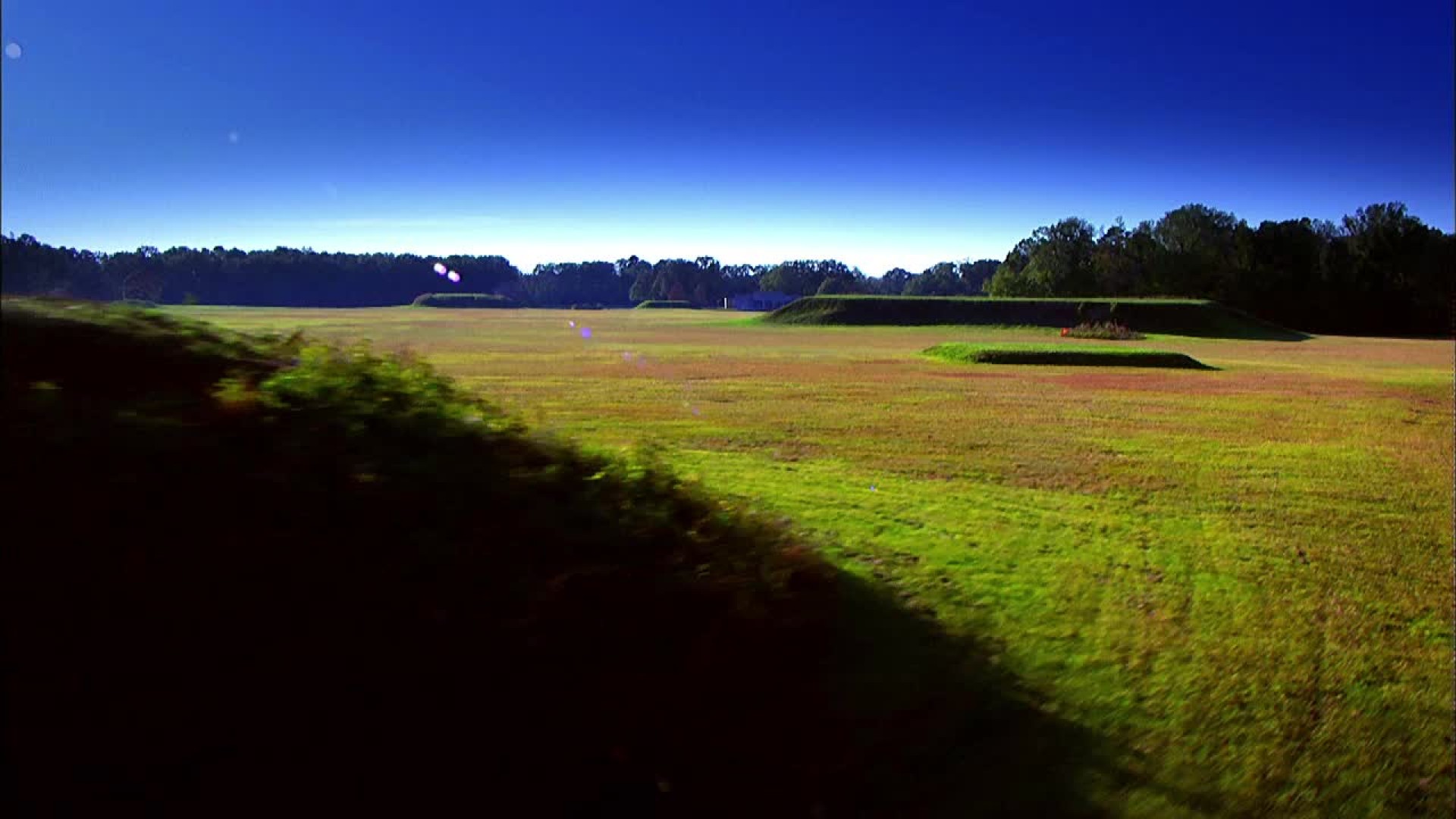 Bill Bomar: Mounds at the Moundville Site | Chickasaw.tv