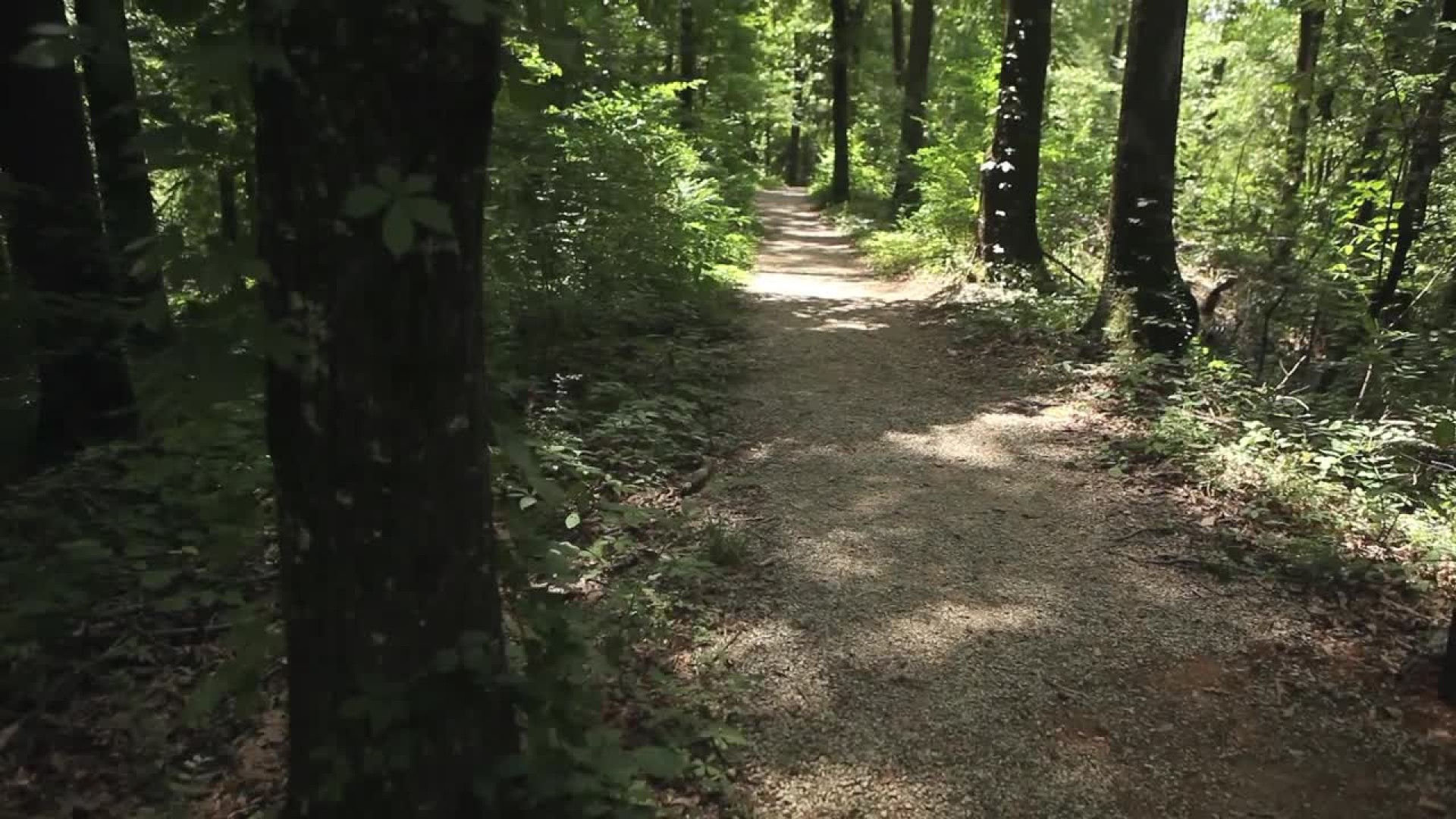 The Evolution of the Natchez Trace | Chickasaw.tv